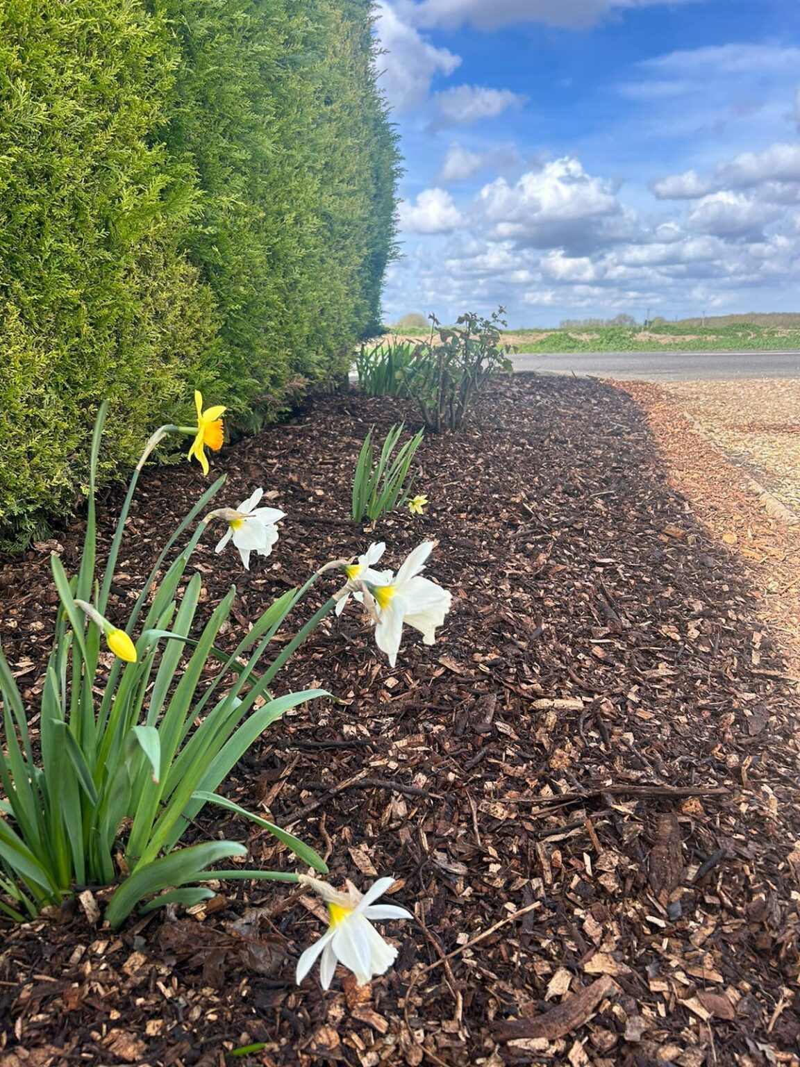 Garden & Landscape - Tanks and Tubs